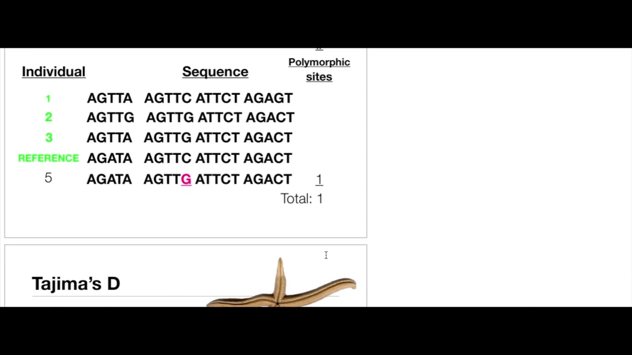 Calculating Tajima's D value - YouTube