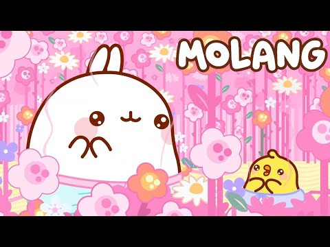 Molang - THE PERFUME 🌸 Best Cartoons for Babies - Super Toons TV