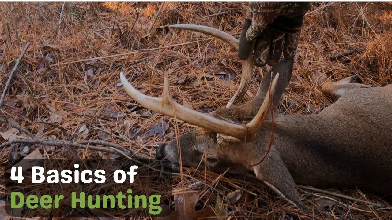 Buck Down | Finding Buck Hot Spot For Deer Hunting - YouTube