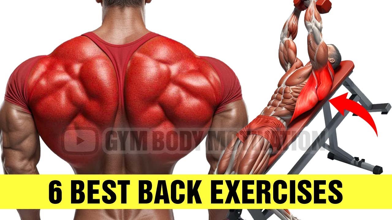 CRAZY Back Workout 6 Exercises For Bigger Back - YouTube