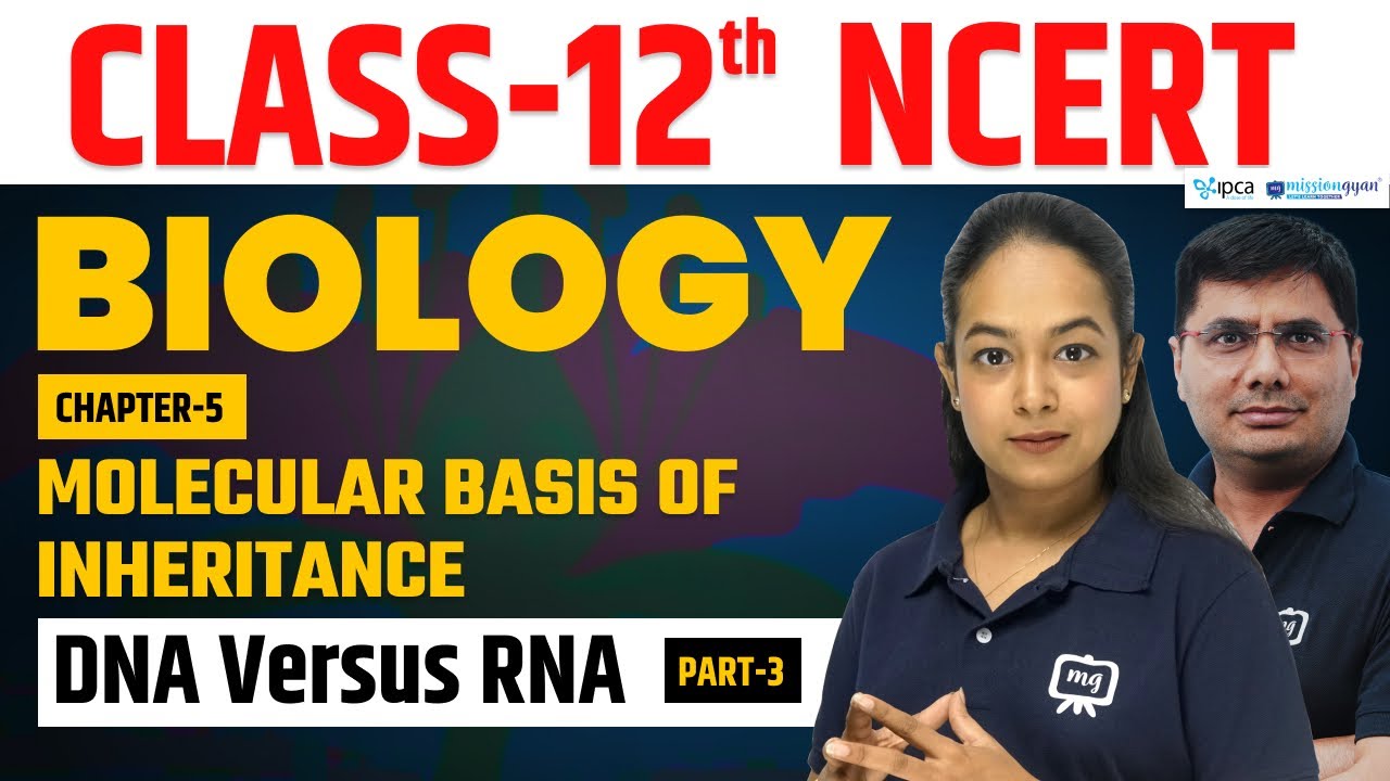 Molecular Basis Of Inheritance Class 12 Chapter 5 | 12th Class Biology CBSE/NCERT | Part 03 ...