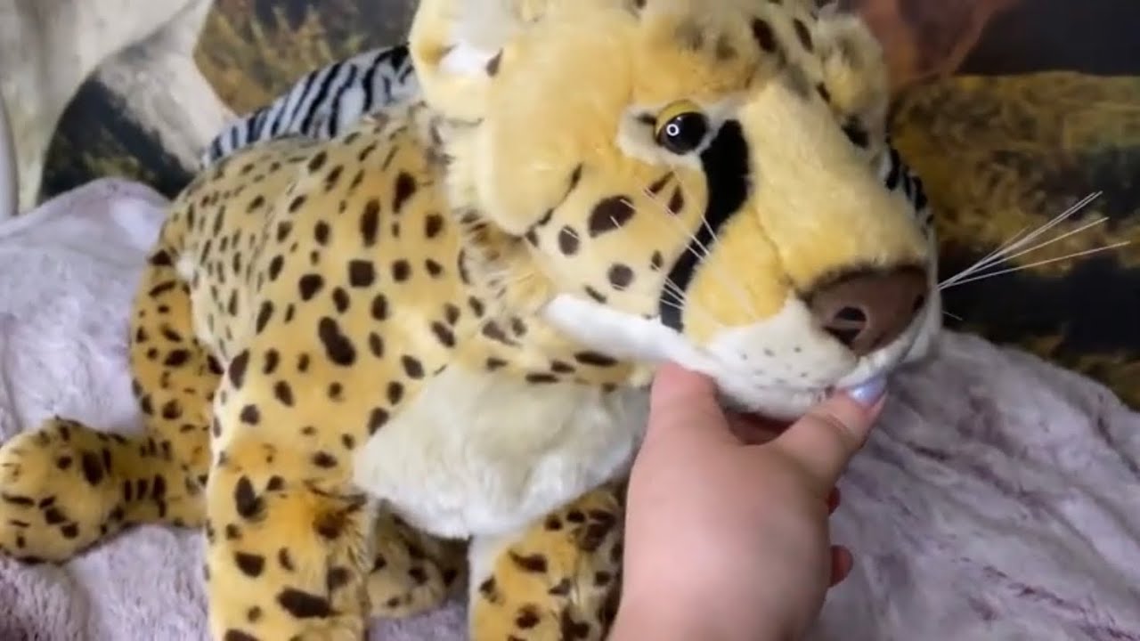 Save Our Space 26 inch Cheetah plush unboxing! - YouTube