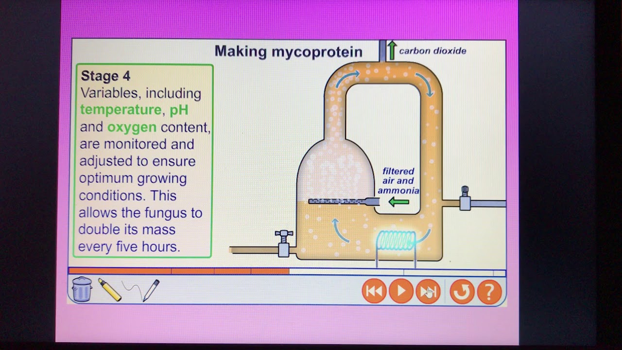 B7 Mycoprotein TRIPLE - YouTube