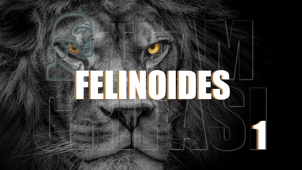 1016-ES Mónica, C177ºP1º: FELINOIDES - Hipnoperador Team Grifasi Elena ...