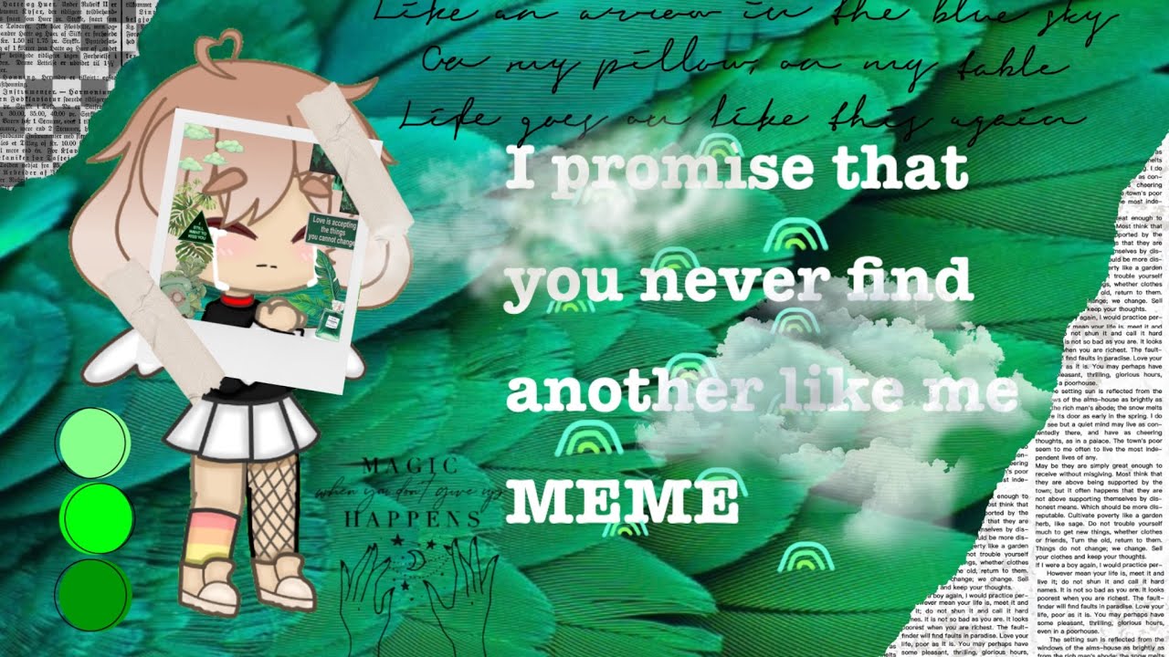 🌟I promise that you’ll never find another like me meme🌟 - YouTube