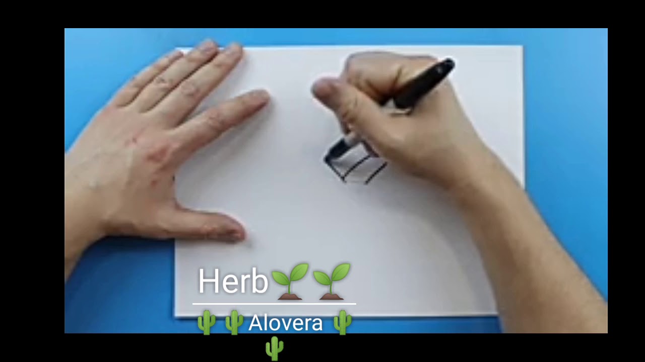 How to draw Herb very easy - YouTube