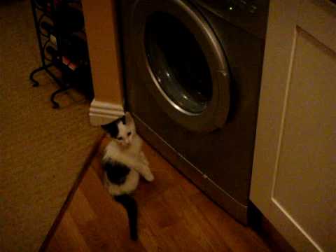 Ted and the washing machine - YouTube