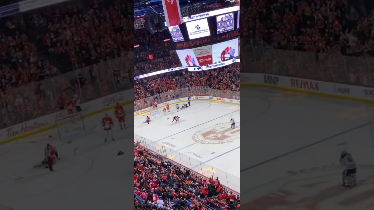 Fans perspective of Mike Smith Fights Cam Talbot - YouTube