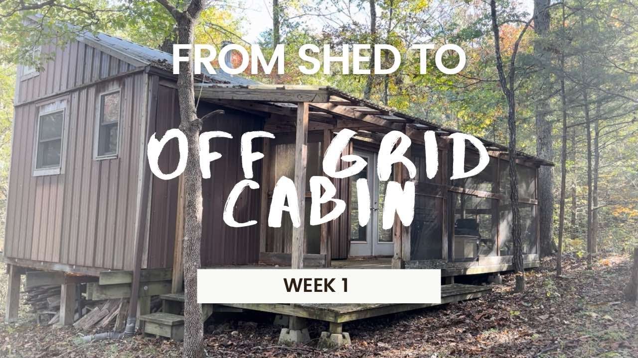 Woody's Off Grid Cabin WEEK 1, turning a hunting shed into a full time ...