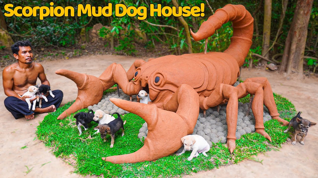 I Built a Scorpion Shaped Dog House from Mud for Rescue Puppies! - YouTube