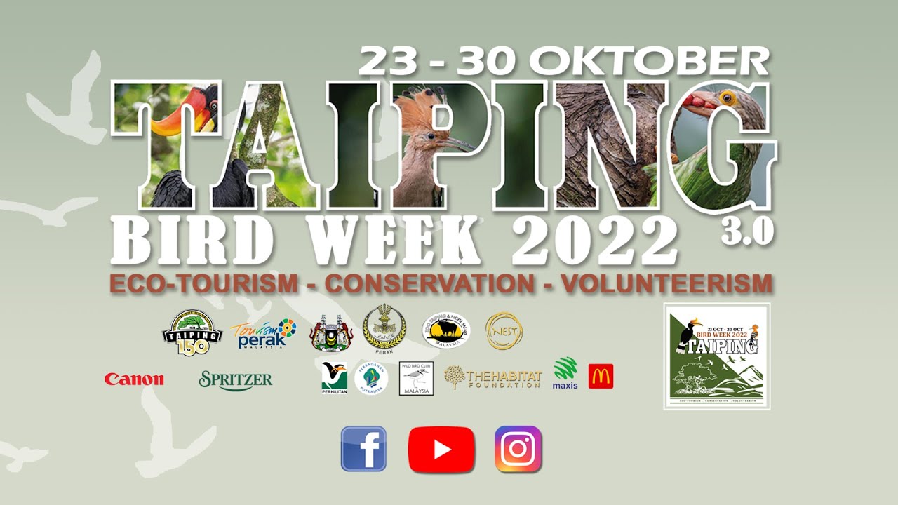 Taiping Bird Week 2022 - YouTube