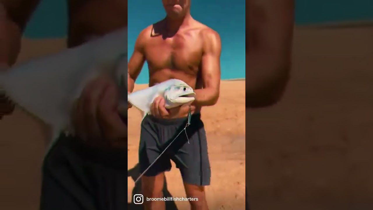 Its a bird, its a plane no it’s a queenie!!!!!!!🦅 ️🐟🦅 ️🐟🦅 ️🐟🦅 ️🐟🦅 ️🐟🦅 ️ ...