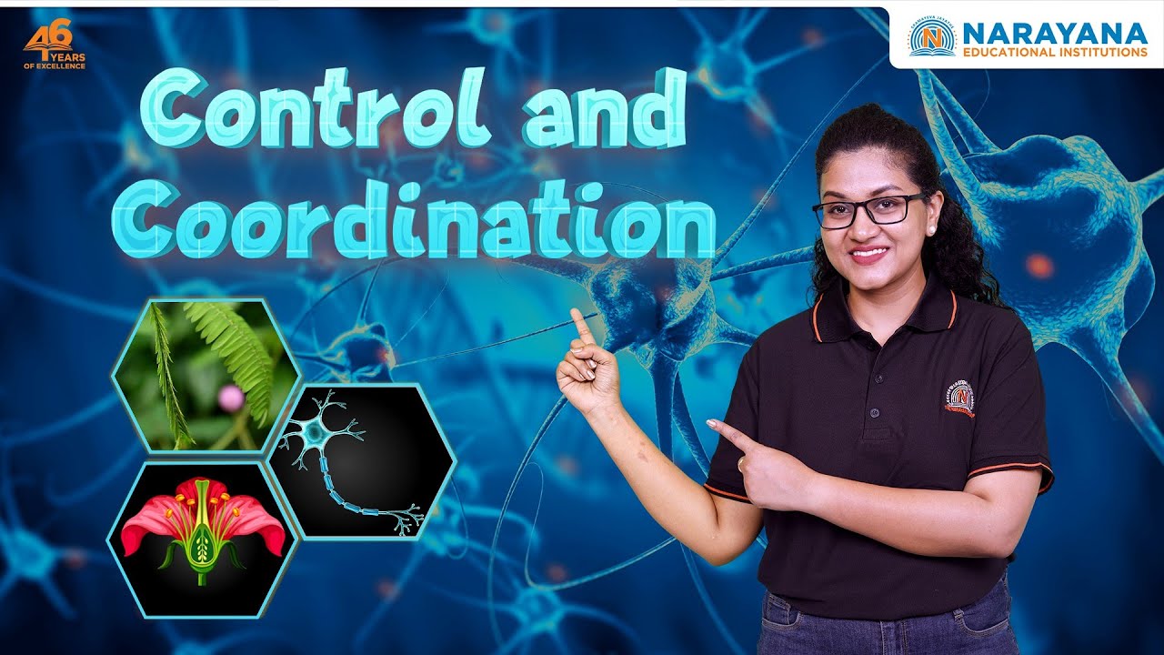 Control and Coordination - Grade 10 Biology | Complete NCERT Chapter ...