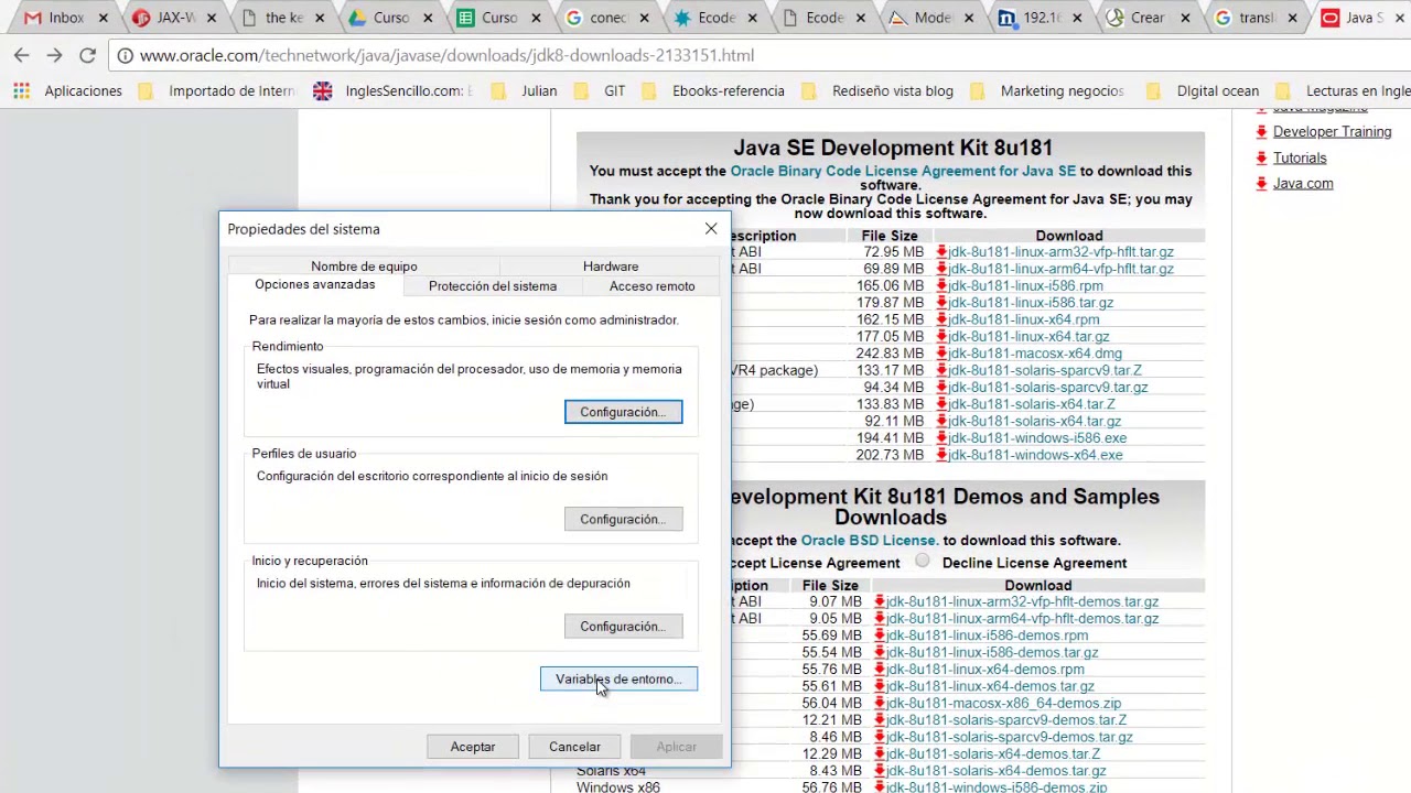 Configuración variable de entorno Java - YouTube