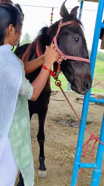 #Horse look# horse love# horse riding#love - YouTube