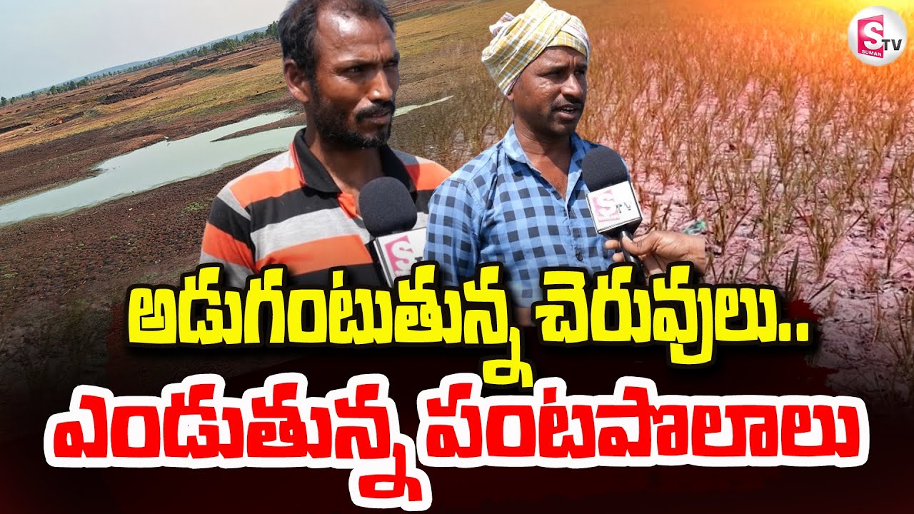 Farmers Facing Problems With water : అడుగంటుతున్న చెరువులు.. ఎండుతున్న ...