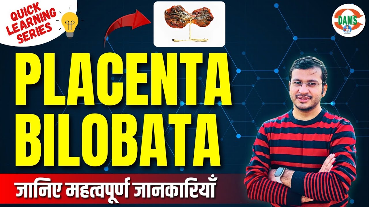 What Is Placenta Bilobata? Placenta Bilobata Details | Quick Learning ...