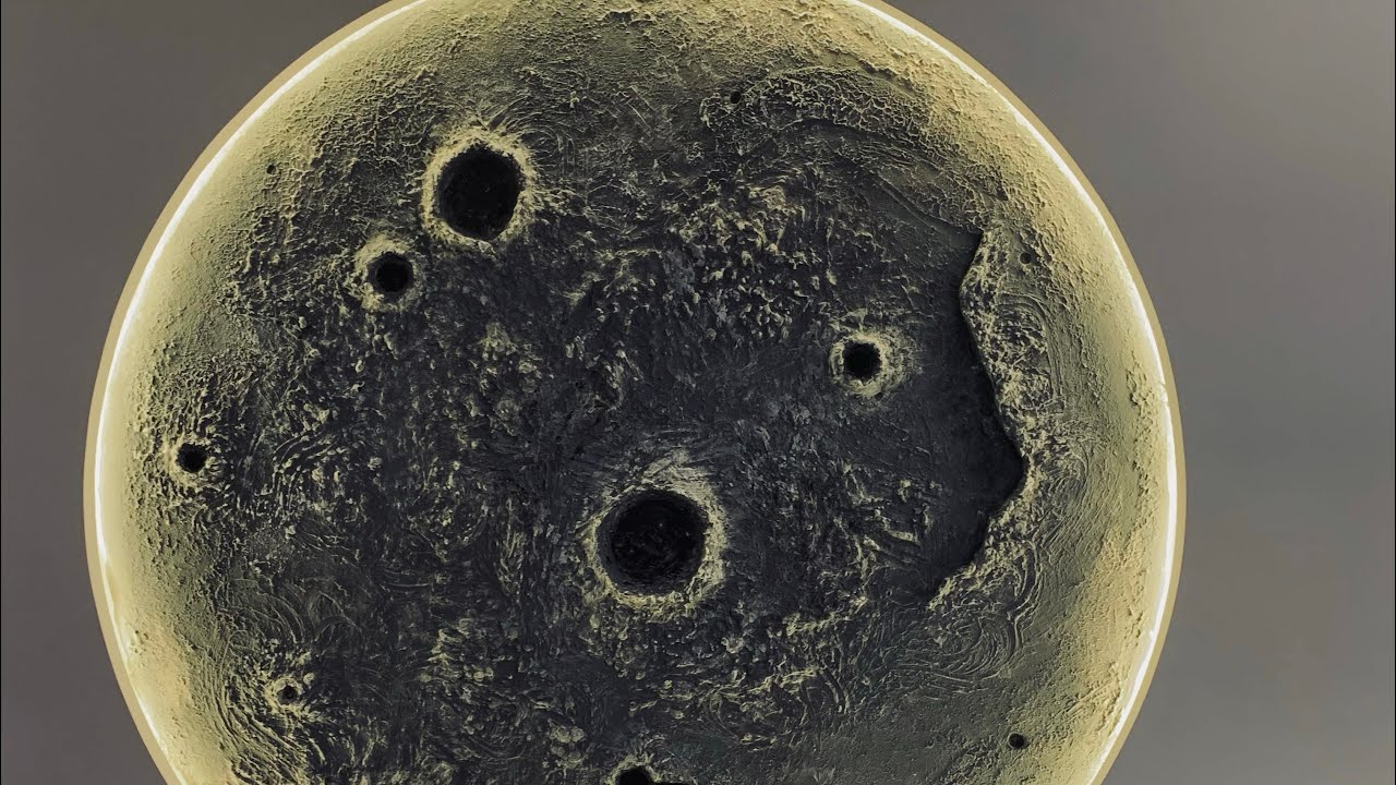 Fiery Meats & Lunar Café - YouTube