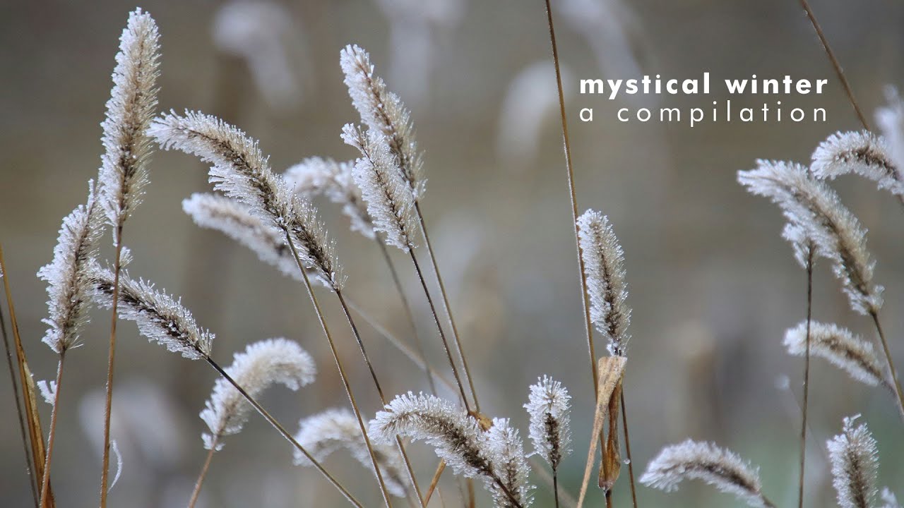 Mystical winter - a compilation - YouTube