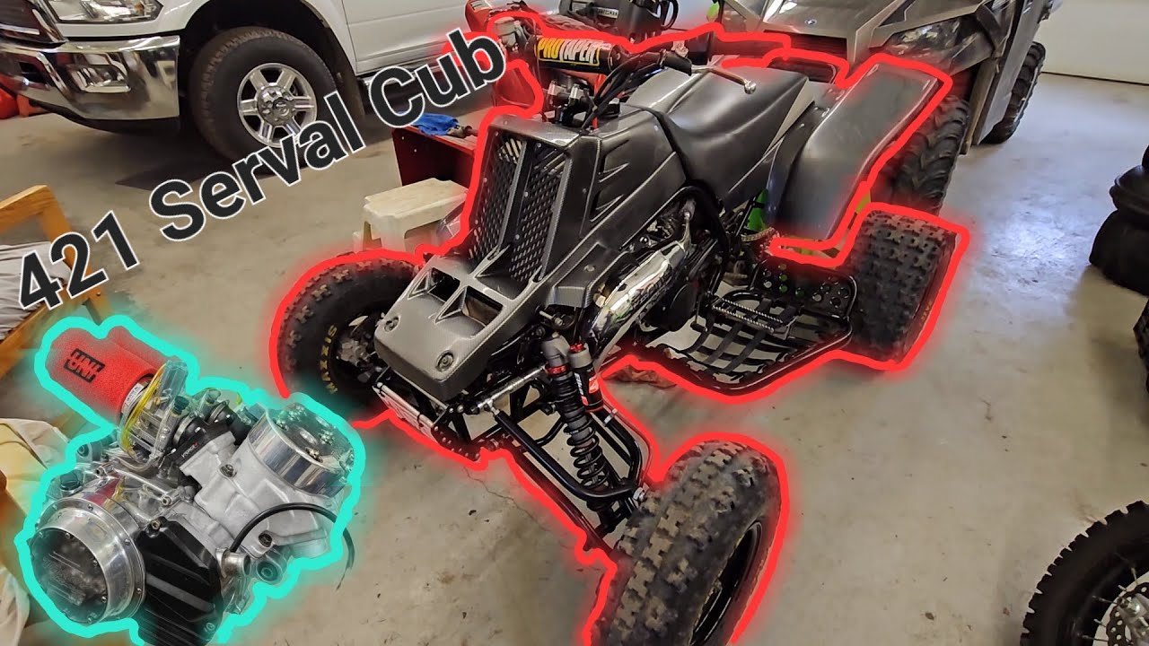 421 Serval Cub Banshee Build - YouTube