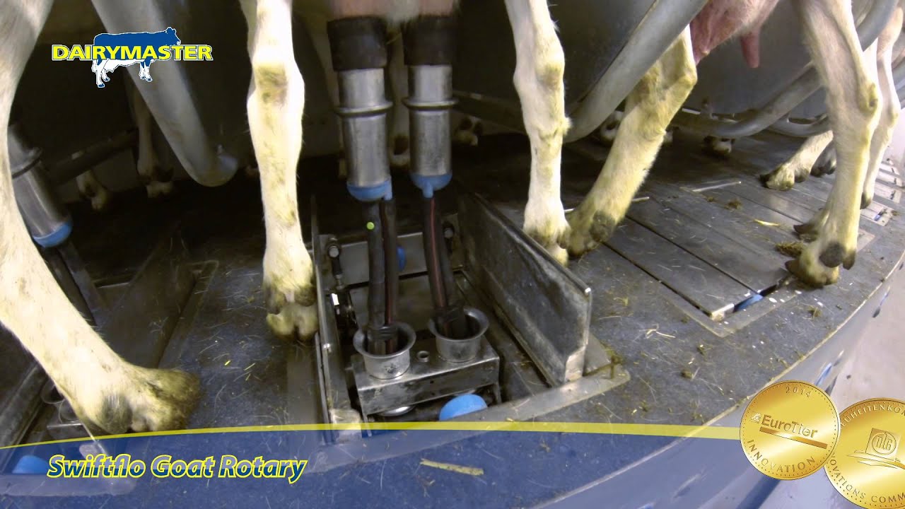 GOAT ROTARY - YouTube