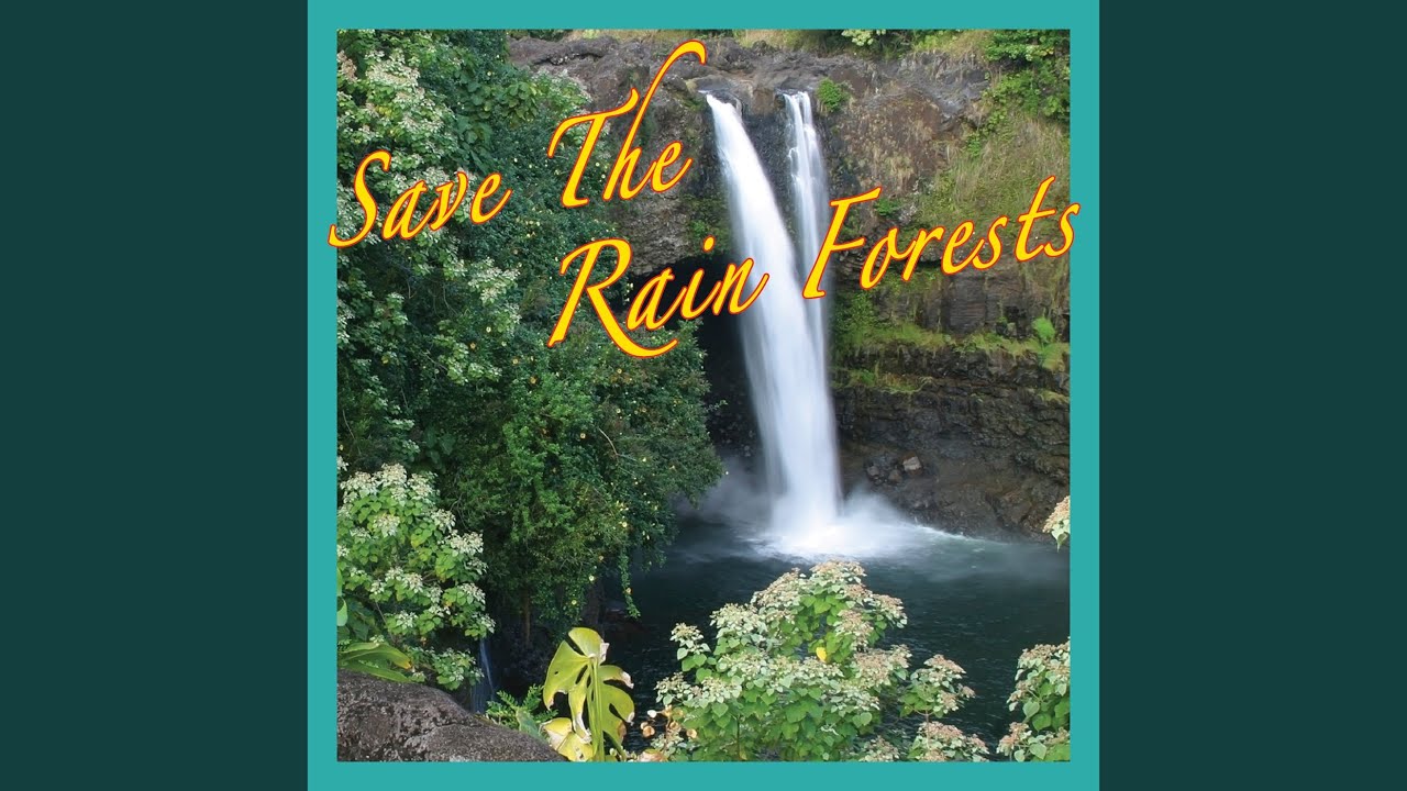Over The Canopy - YouTube