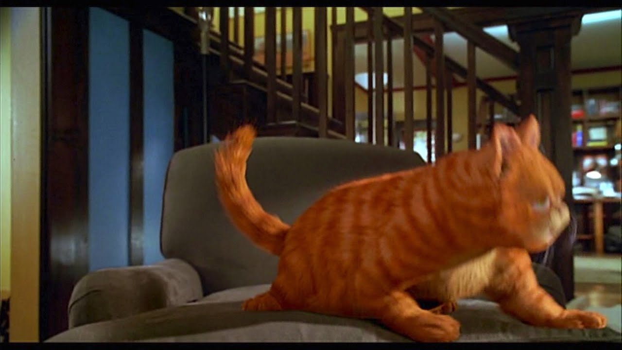 Garfield: Garfield (2004) - YouTube