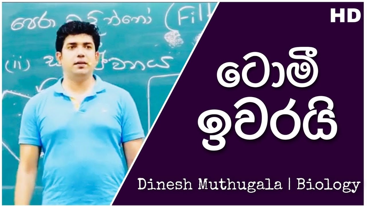 ටොමී ඉවරයි | Dinesh Muthugala - YouTube