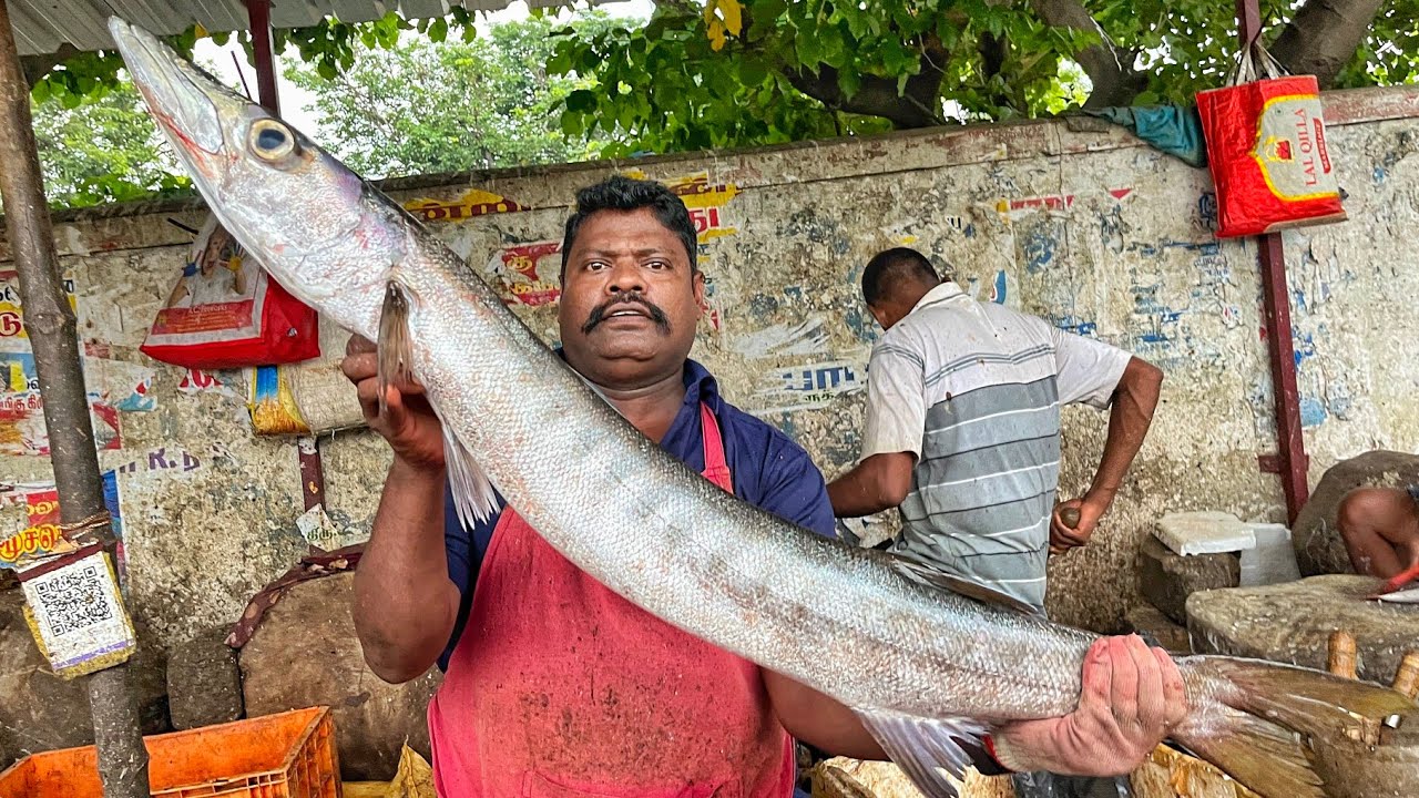KASIMEDU SPEED SELVAM | BIG SHEELA FISH CUTTING VIDEO | 4K VIDEO | KM ...