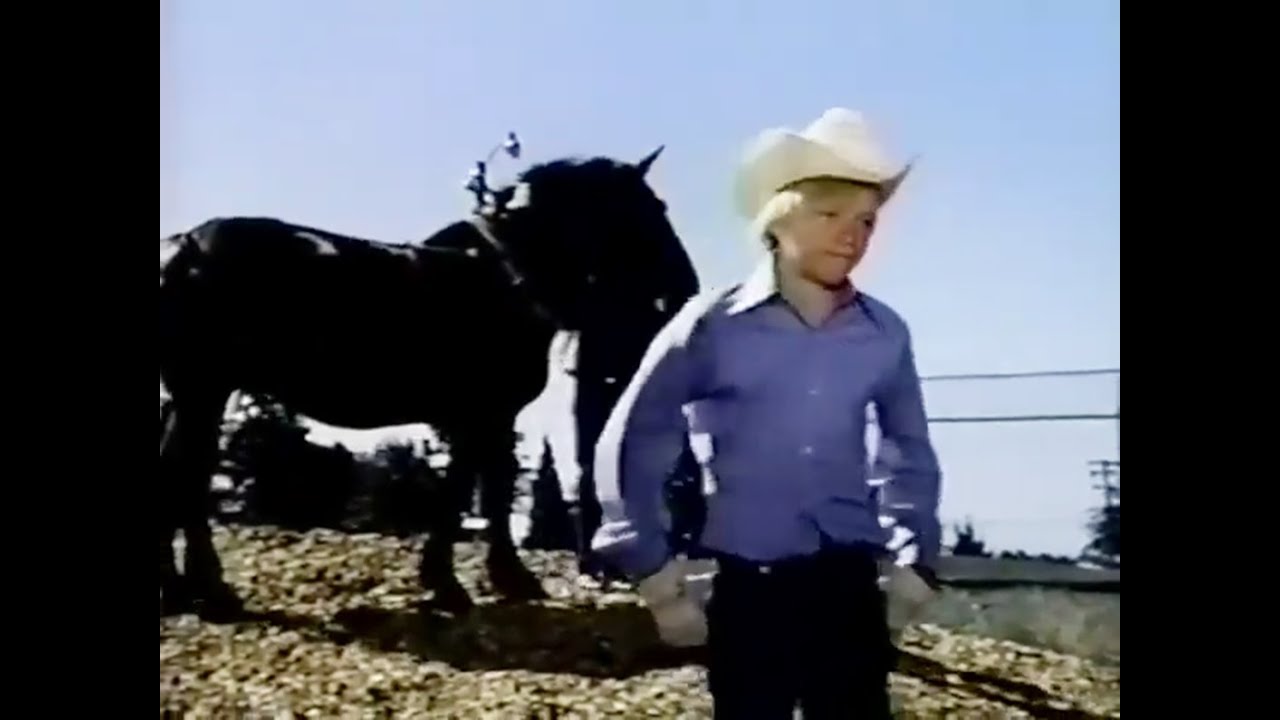 Movie Kids series - 1973 : Jeff Tyler in " Chester, yesterday's horse ...