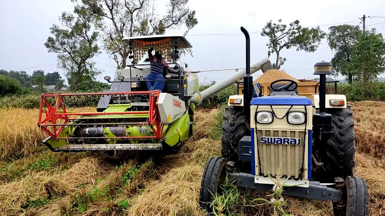 Swaraj 744 Paddy loading and importation || tractor video..#tractor # ...