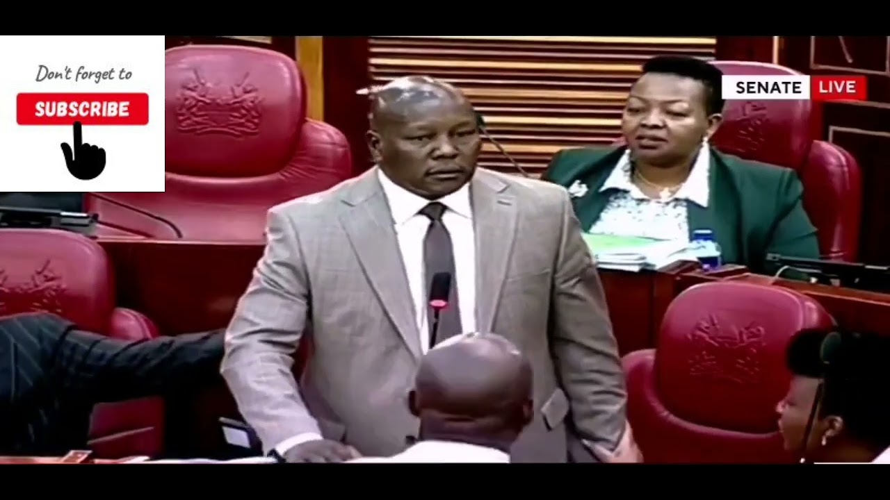 CHAOS IN THE SANATE AS SENATOR SEKI LENKU DISRUPTS THE IMPEACHMENT OF ...