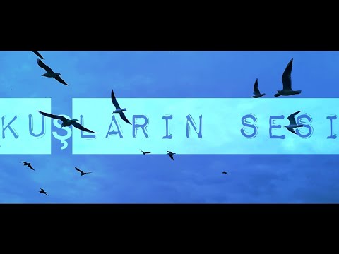 Kuşların Sesi-(Kısa Film)