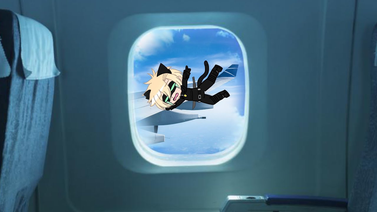 Cats on a plane (ft: Mew, team rocket grunts, Chat noir and my OC ...
