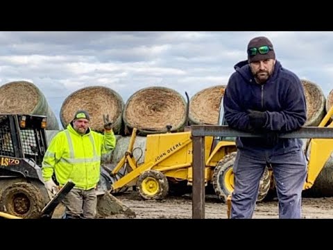 Dry Cow Lot Renovation | Part 2 - YouTube