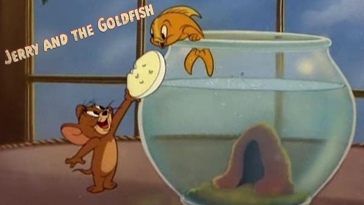 Jerry and the Goldfish 1951 Tom and Jerry Cartoon Short Film | Review ...