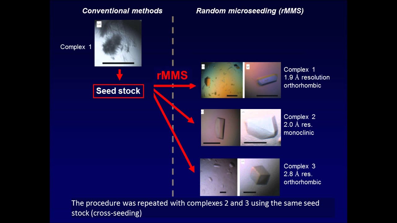 Protein crystallization using random Microseed Matrix Screening: a ...