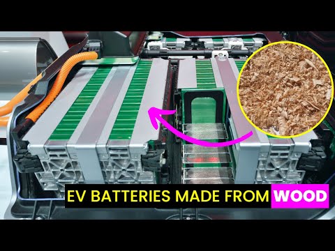 Trees Could Soon Power the EV Battery Industry | Future Technology ...