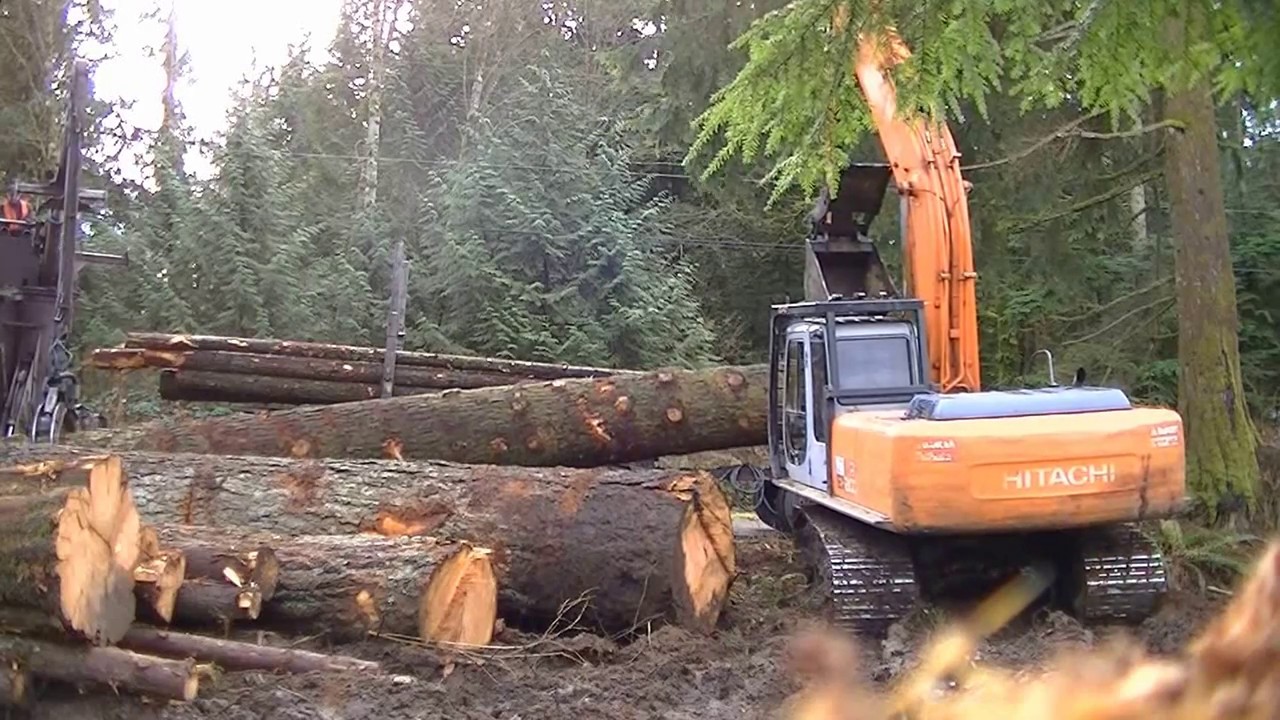 Loading A Big Log - YouTube