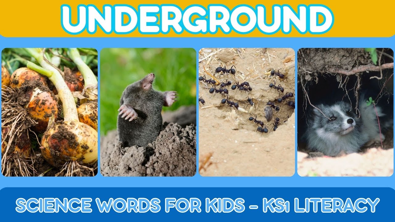 Underground Vocabulary for Kids | KS1 Science Words Literacy | English ...