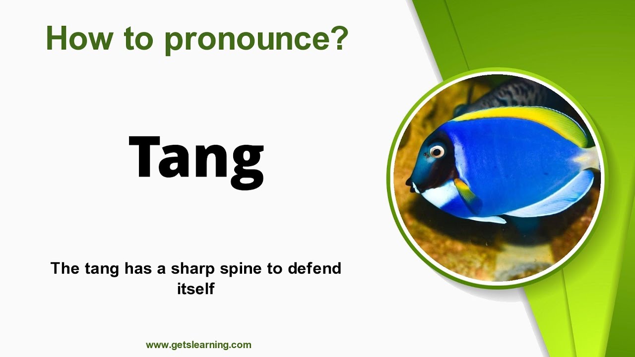 How to pronounce Tang Fish in English correctly - YouTube