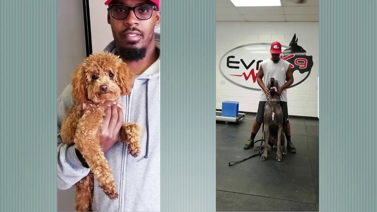 Business News You Can Use EVRY K9 YouTube business-news-you-can-use-evry-k9-youtube