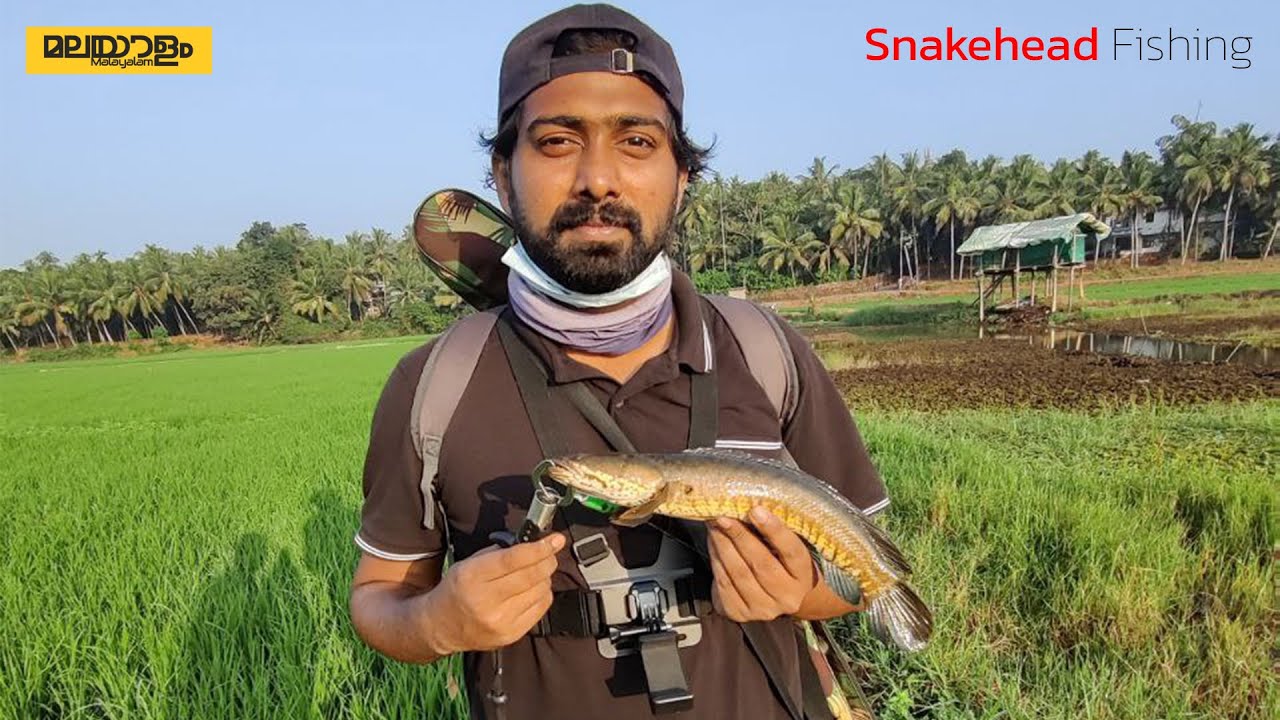 2022 വർഷത്തെ ആദ്യത്തെ മീൻ | First Fish in 2022 | Snakehead Fishing ...