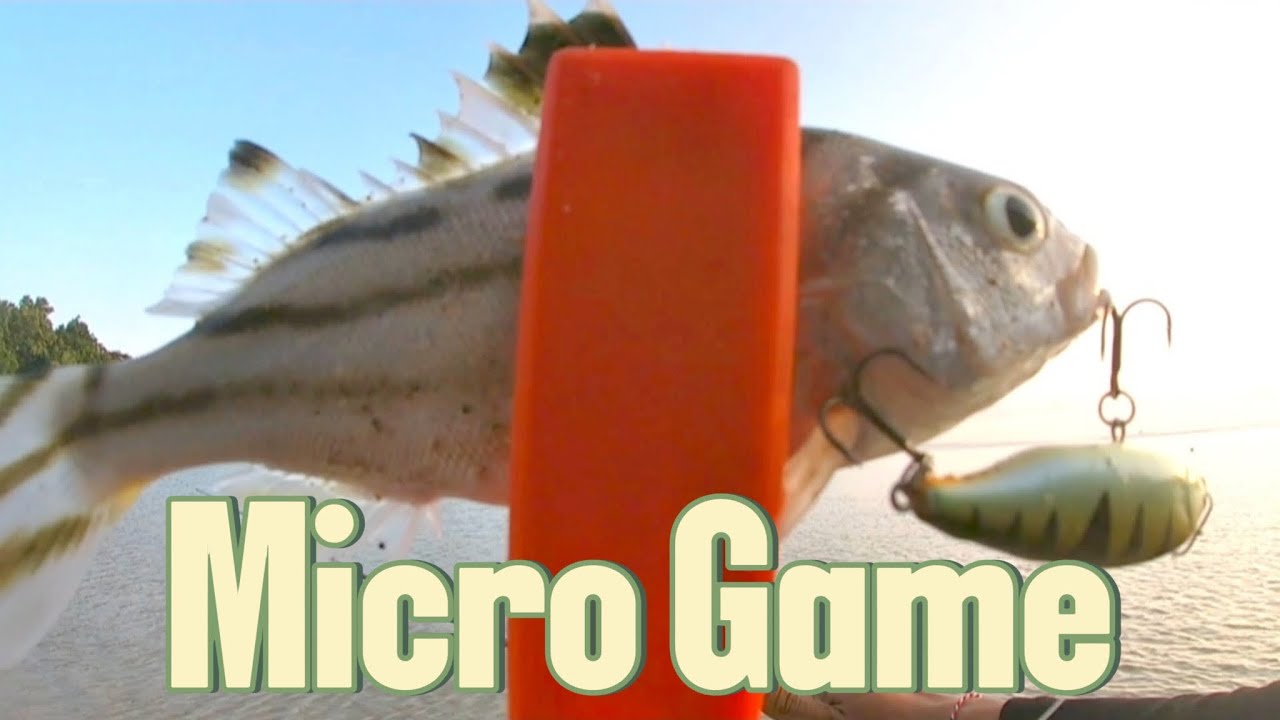 Micro Game Fishing! - YouTube