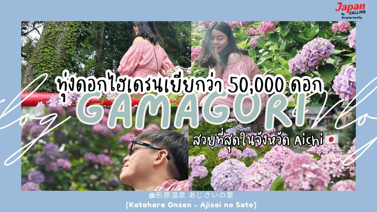Japan Calling EP.10 ชมทุ่งดอกไฮเดรนเยีย กว่า 50000 ดอกมิถุนายนญี่ปุ่นก็ ...