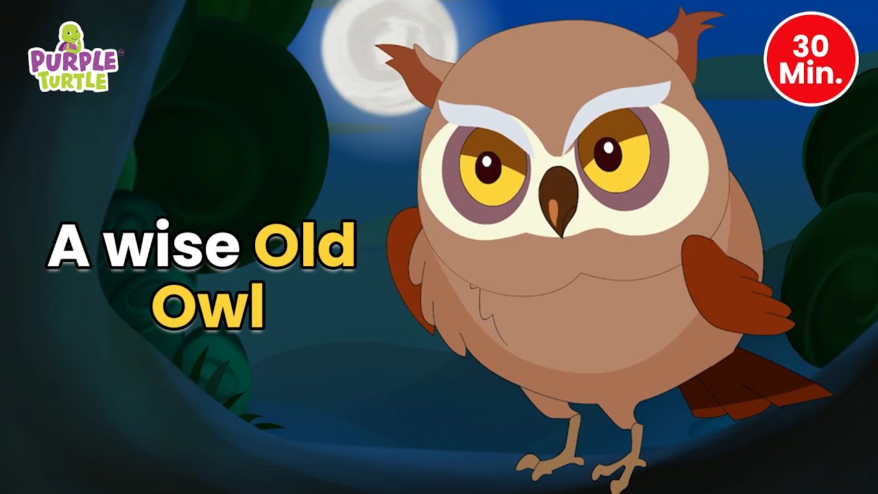 Old wise owl | Purple Turtle Kids Songs | Nursery Rhymes - YouTube