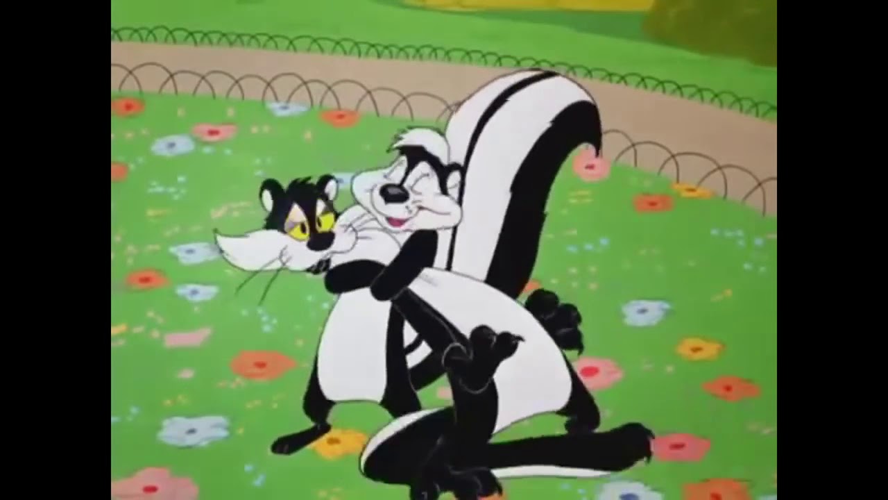 Pepe Le Pew Gatita tamaño familiar - YouTube