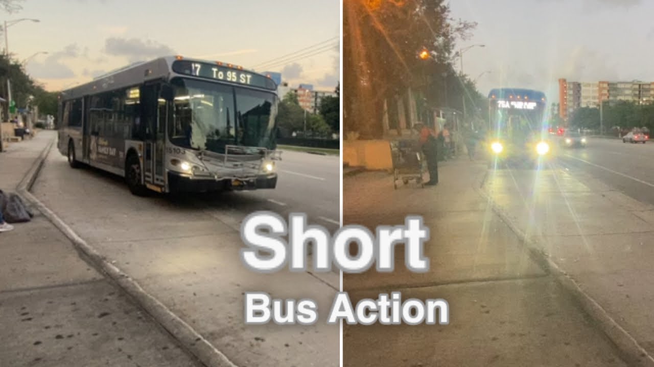 Short Bus Action at 163rd St Mall - YouTube