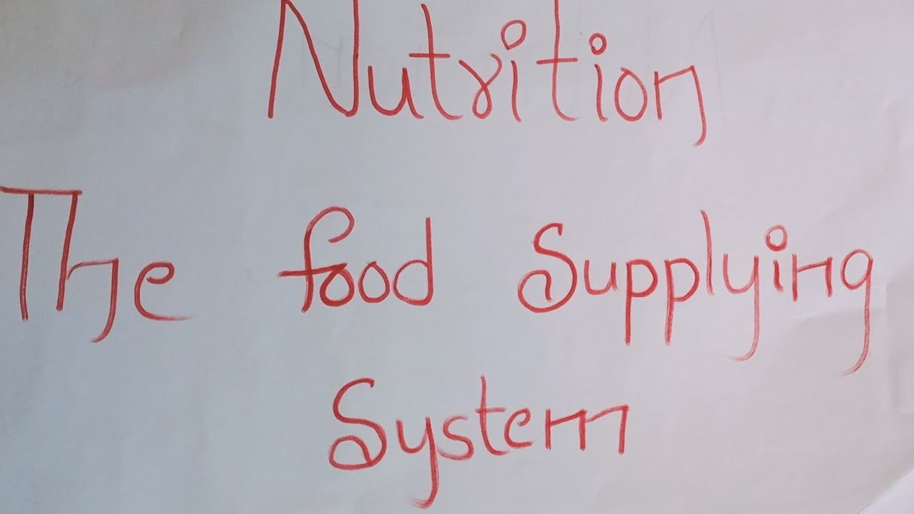 10 Class Biology 1st Lesson NUTRITION Explaining In Simple Method YouTube 10-class-biology-1st-lesson-nutrition-explaining-in-simple-method-youtube
