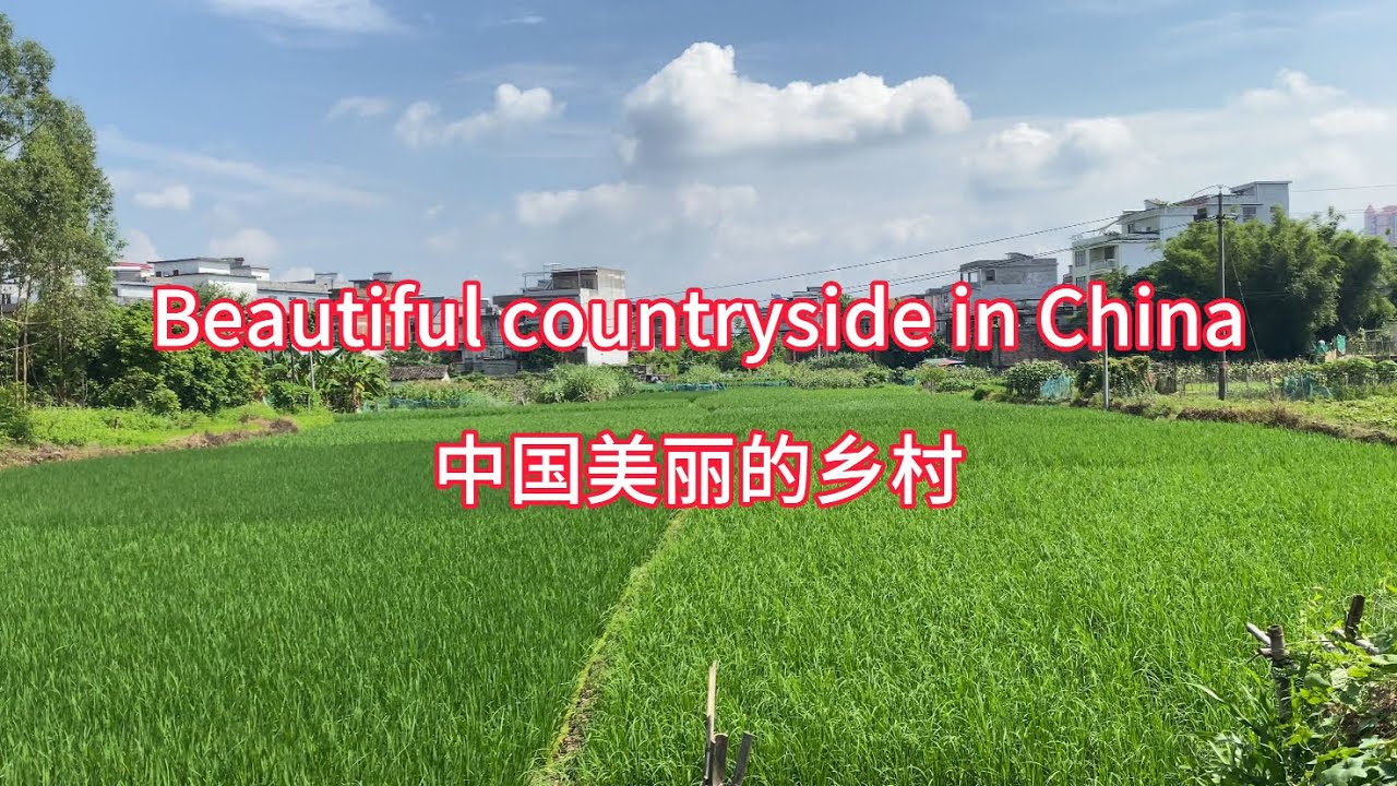 Beautiful countryside in China 中国美丽的乡村 - YouTube